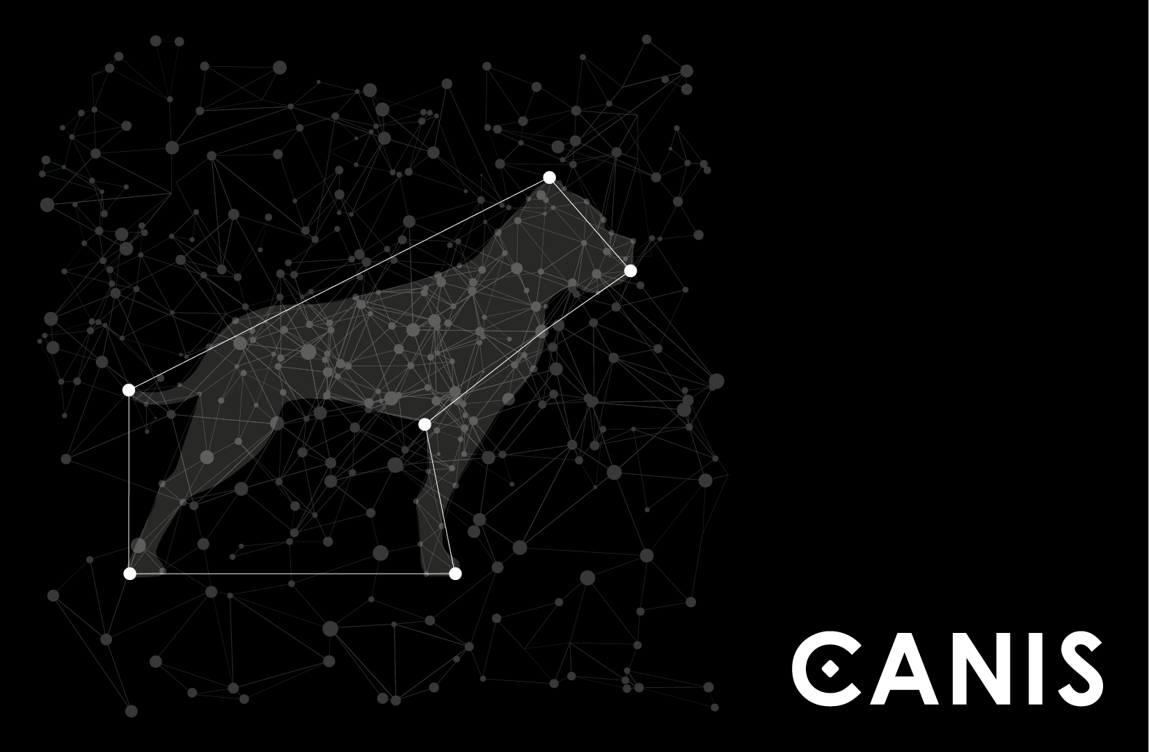 About Us - GP Bullhound